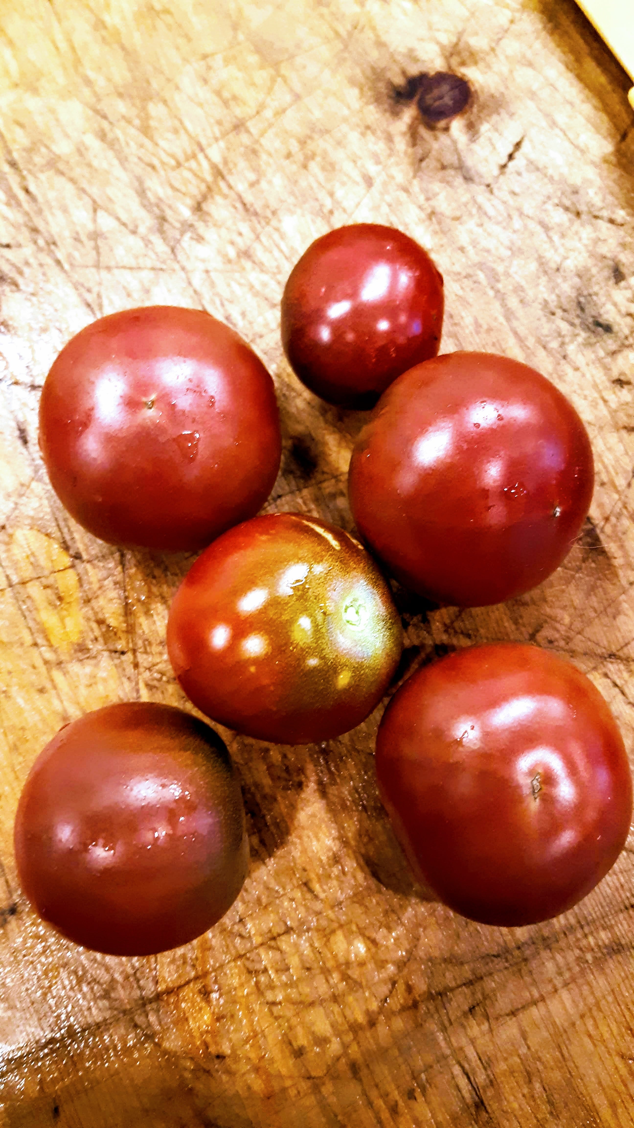 Karma Purple Tomato | CoCreative Seeds