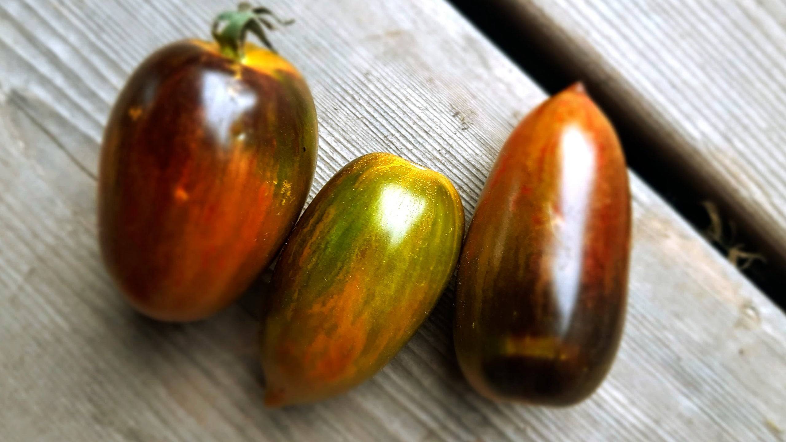 Tomato - Brad's Atomic Grape | CoCreative Seeds