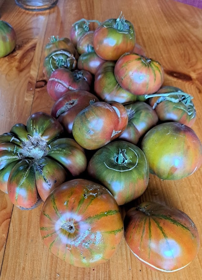 Tomato - Ananas Noire | CoCreative Seeds