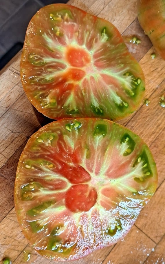 Tomato - Carbon | CoCreative Seeds